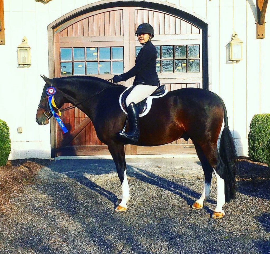 2016 MHSA Champions Gallery | Maryland Horse Show Association
